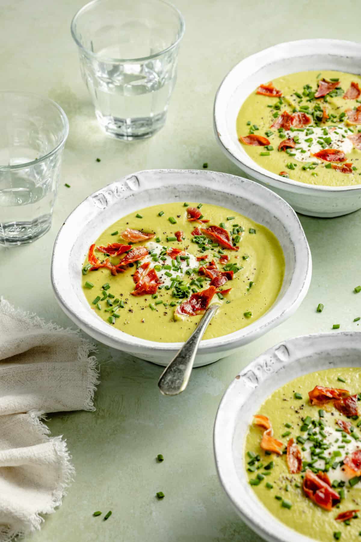 Chicken and Leek Noodle Soup - The Defined Dish