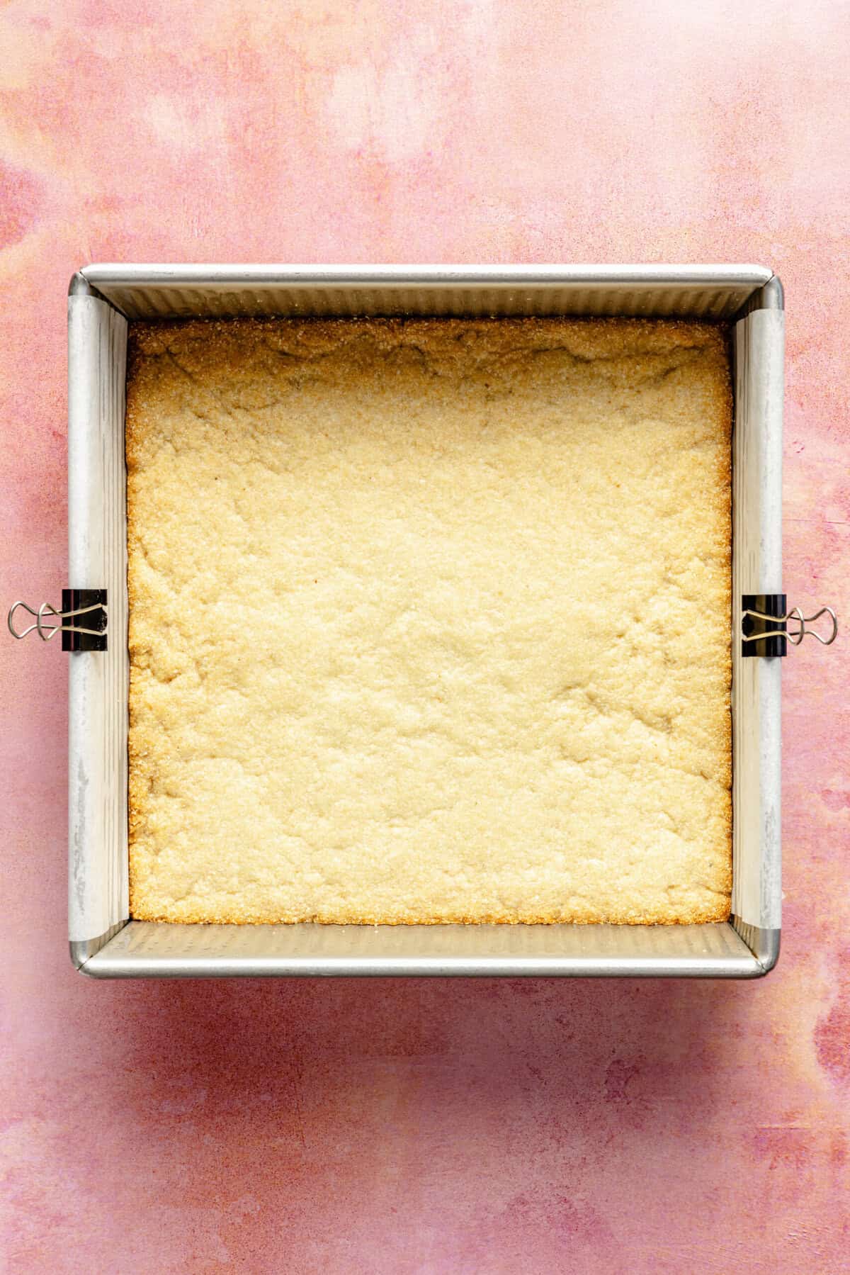 Salted Citrus Bars - The Defined Dish